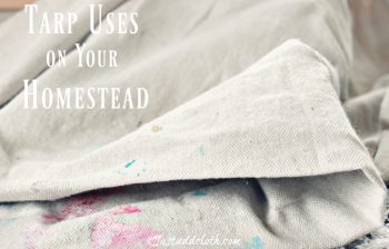 Four Important Uses for Heavy Tarps on Your Homestead