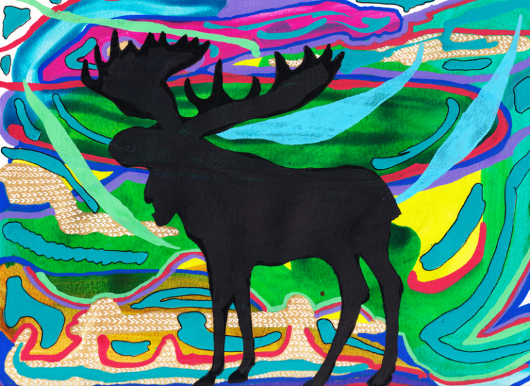 Nature Inspired Art of Minnesota